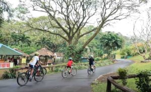 Top 10 Outdoor Activities in Metro Manila [2025]