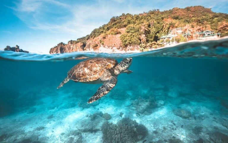 Top 10 Most Beautiful Tourist Spots in Visayas [2025]