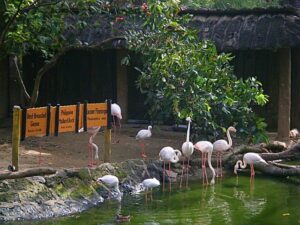Best Zoos and Aquariums You Must Visit in the Philippines [2025]