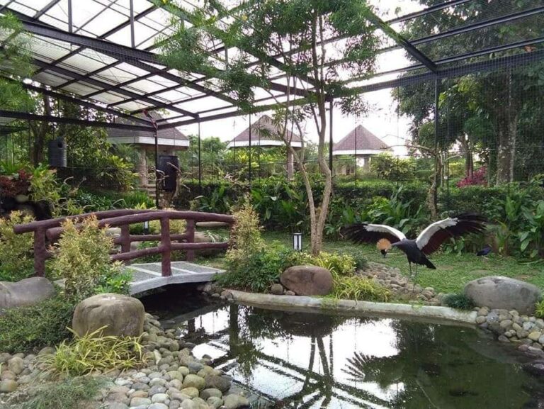 10 Must-See Natural Attractions in Tagaytay [2025]
