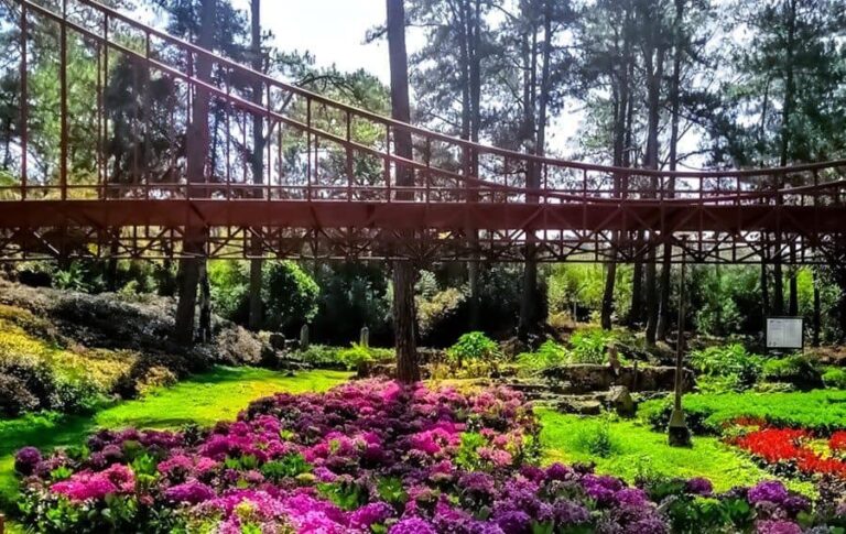 10 Natural Destinations and Parks Around Baguio [2025]