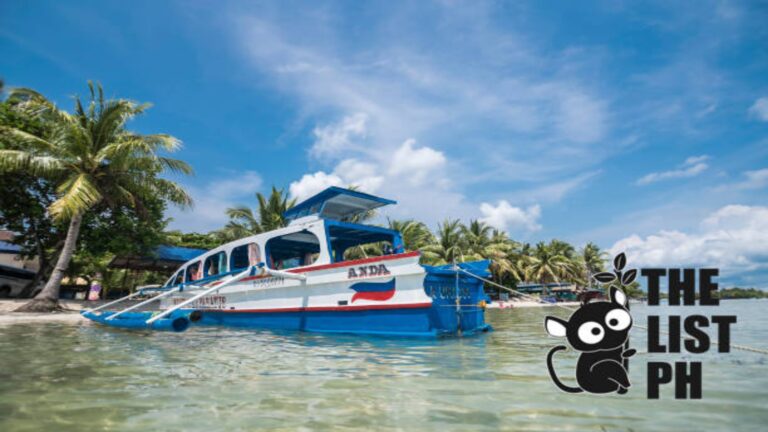 15 Best Water Activities in the Philippines [2025]